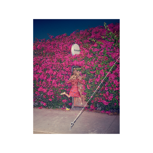 Feist Posters - The CBP Shop