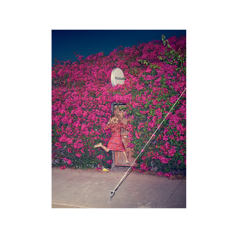 Feist Posters - The CBP Shop